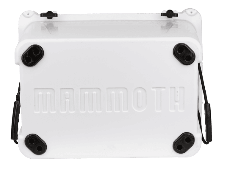 Mammoth Ranger 65 Cooler – High-Capacity Cooling for Extended ...